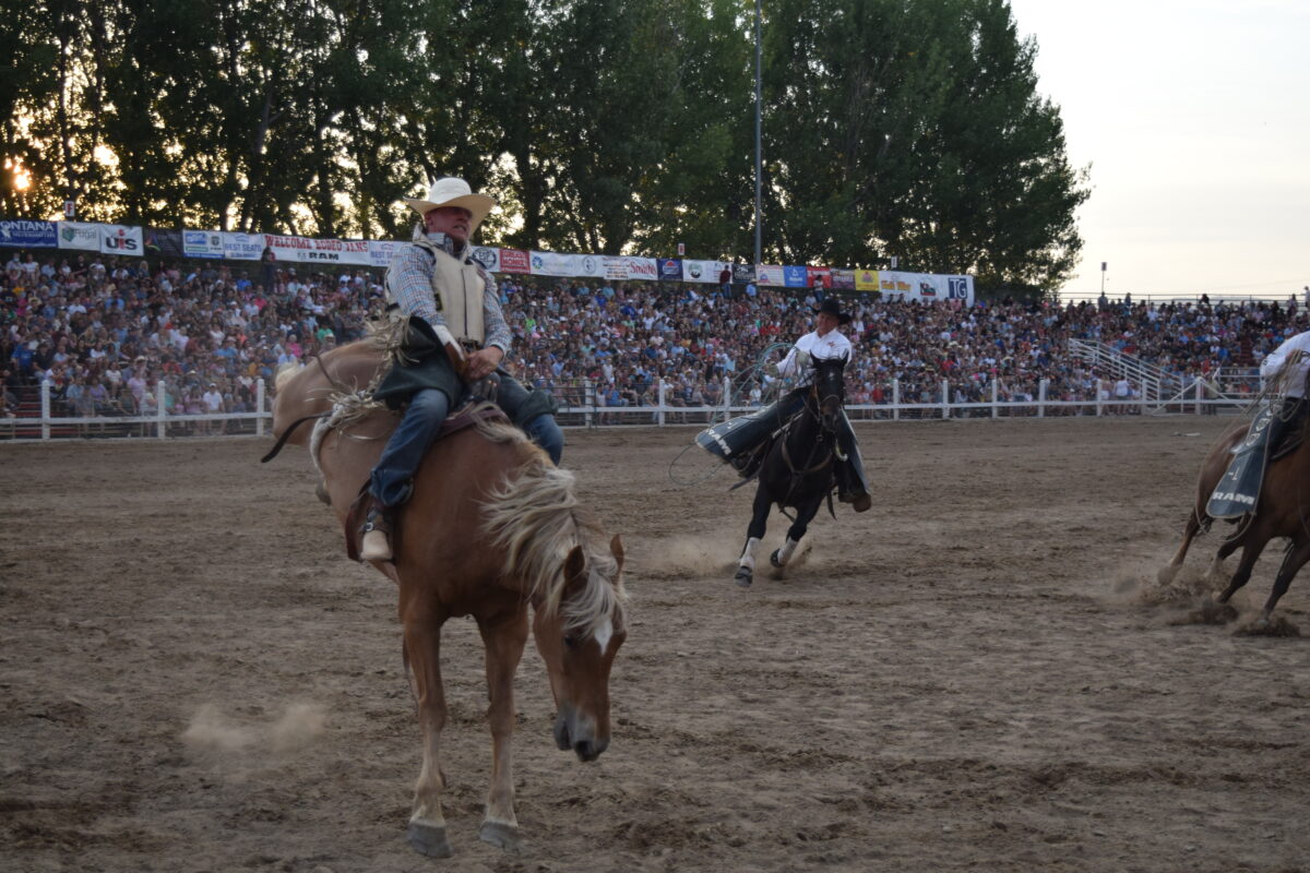 Pleasant Grove celebrates 100 years of Strawberry Days Rodeo | News ...